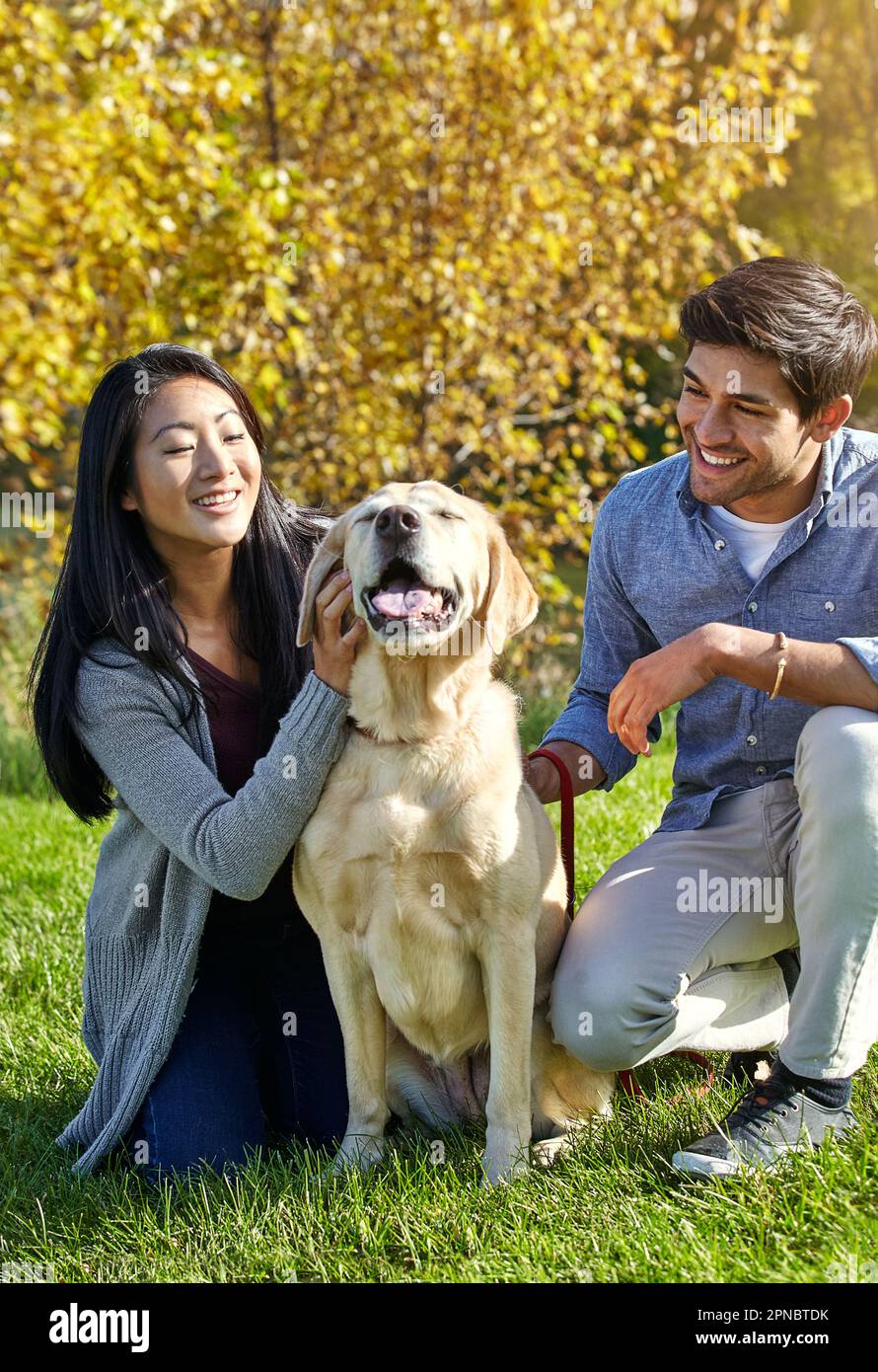 Our dog continues to bring us closer every day. a loving young couple ...