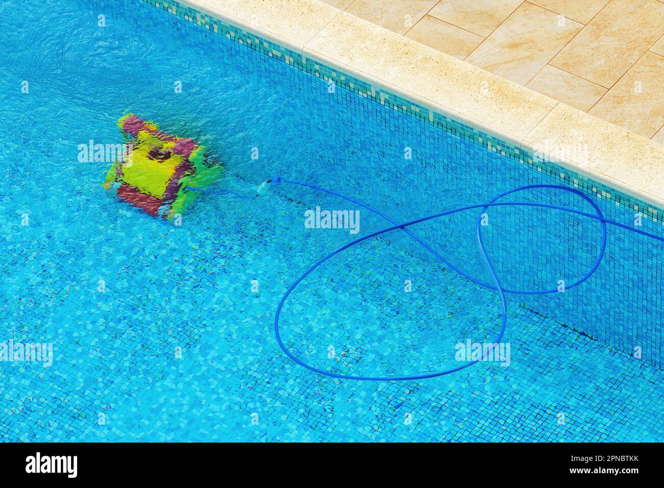 Robotic swimming pool cleaner in operation at the bottom of the pool ...