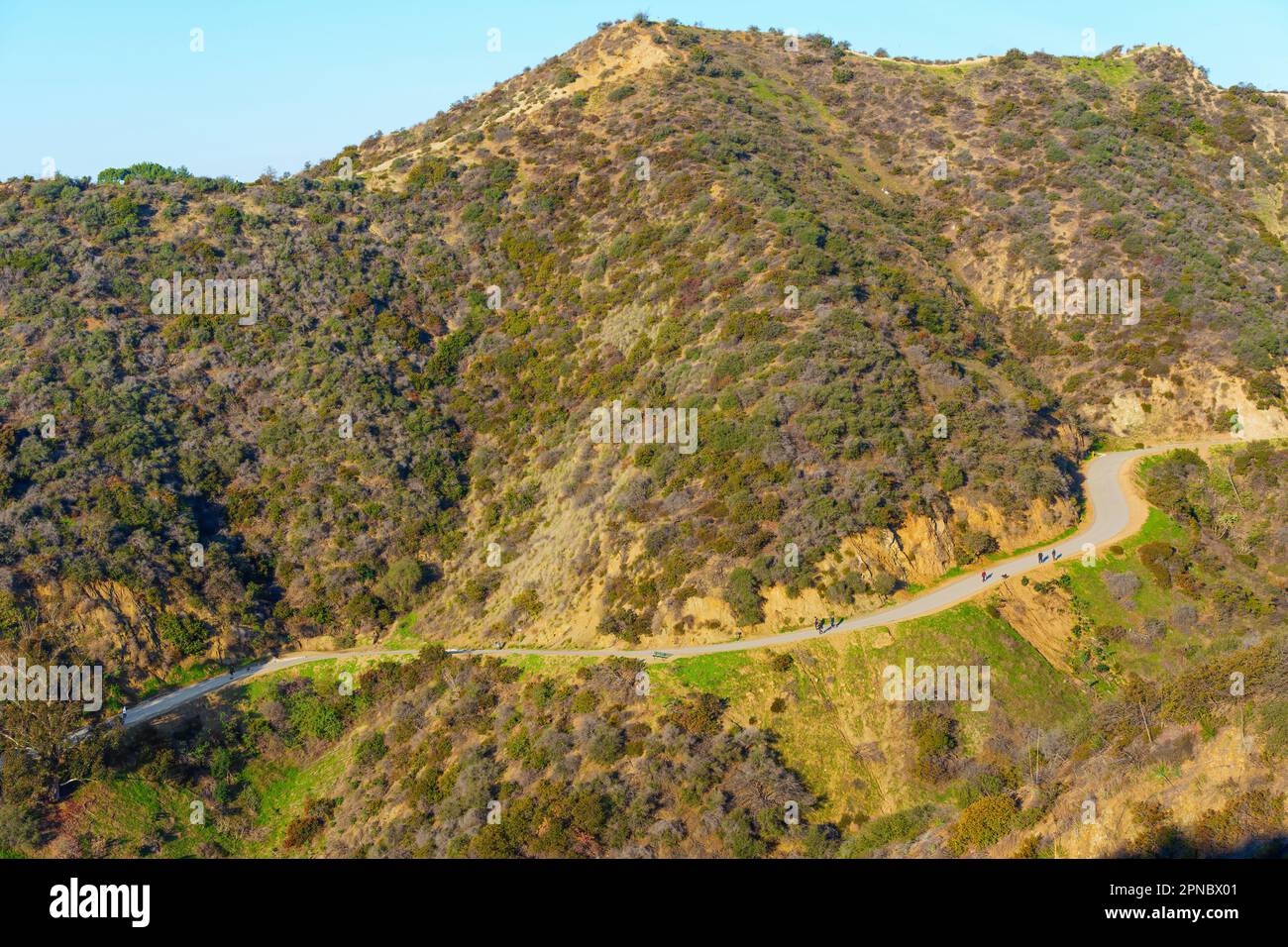 View of the Runyon Canyon Trail in Santa Monica Mountains, California ...