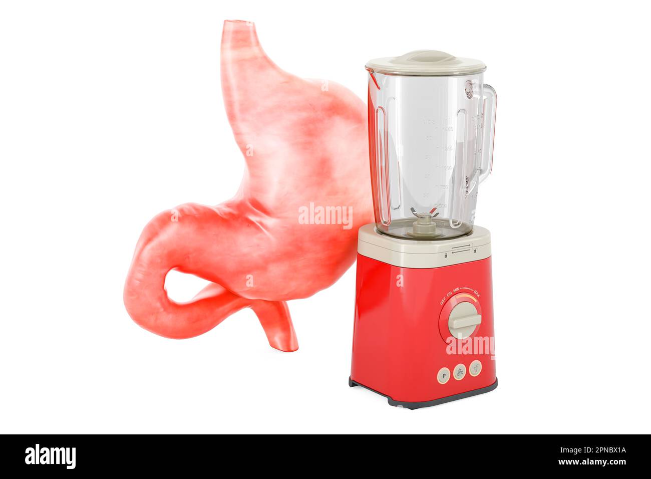 Blender with stomach. Diet for a Healthy Digestive System concept, 3D ...