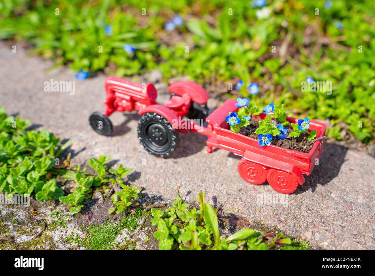 Small flowerbed of colorful spring flowers placed on a toy tractor ...