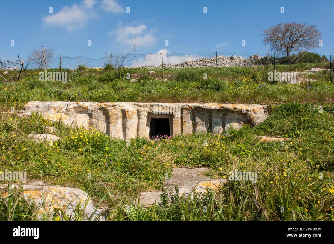 Tomb with false pillars called the Prince, ancient bronze age, 2200 ...