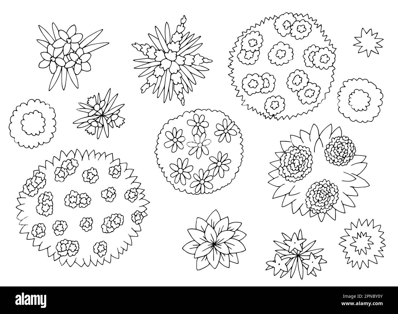 Top view of peony Stock Vector Images - Alamy