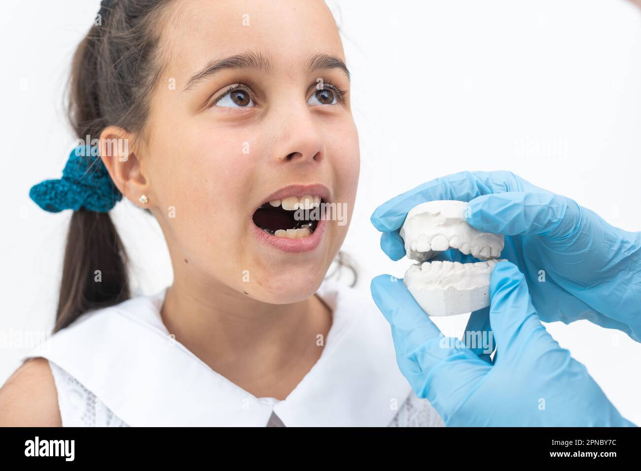 modeling of artificial teeth on a plaster model Stock Photo - Alamy
