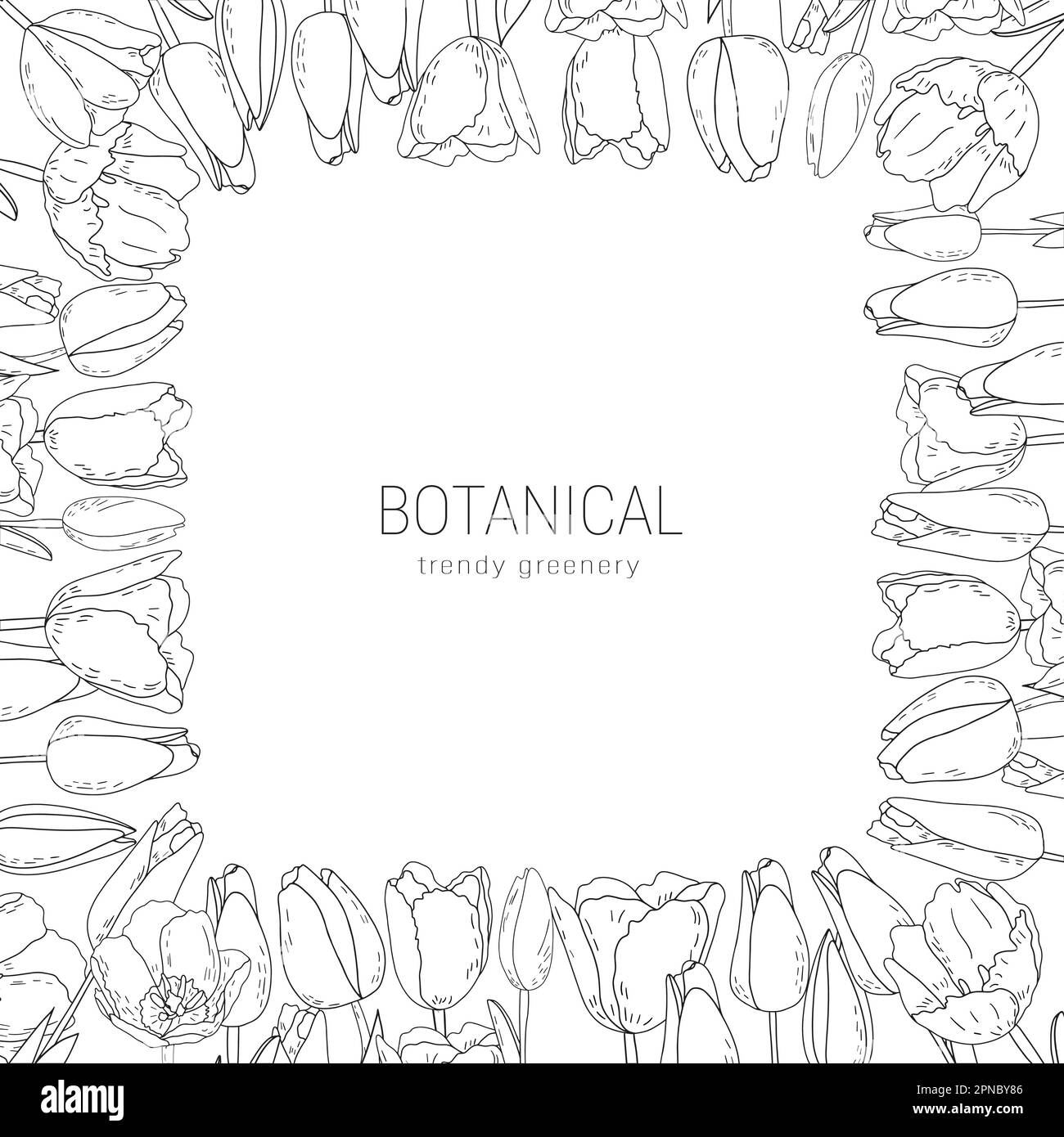 Hand-drawn vector Tulip bud square frame, Easter border of tulips with ...