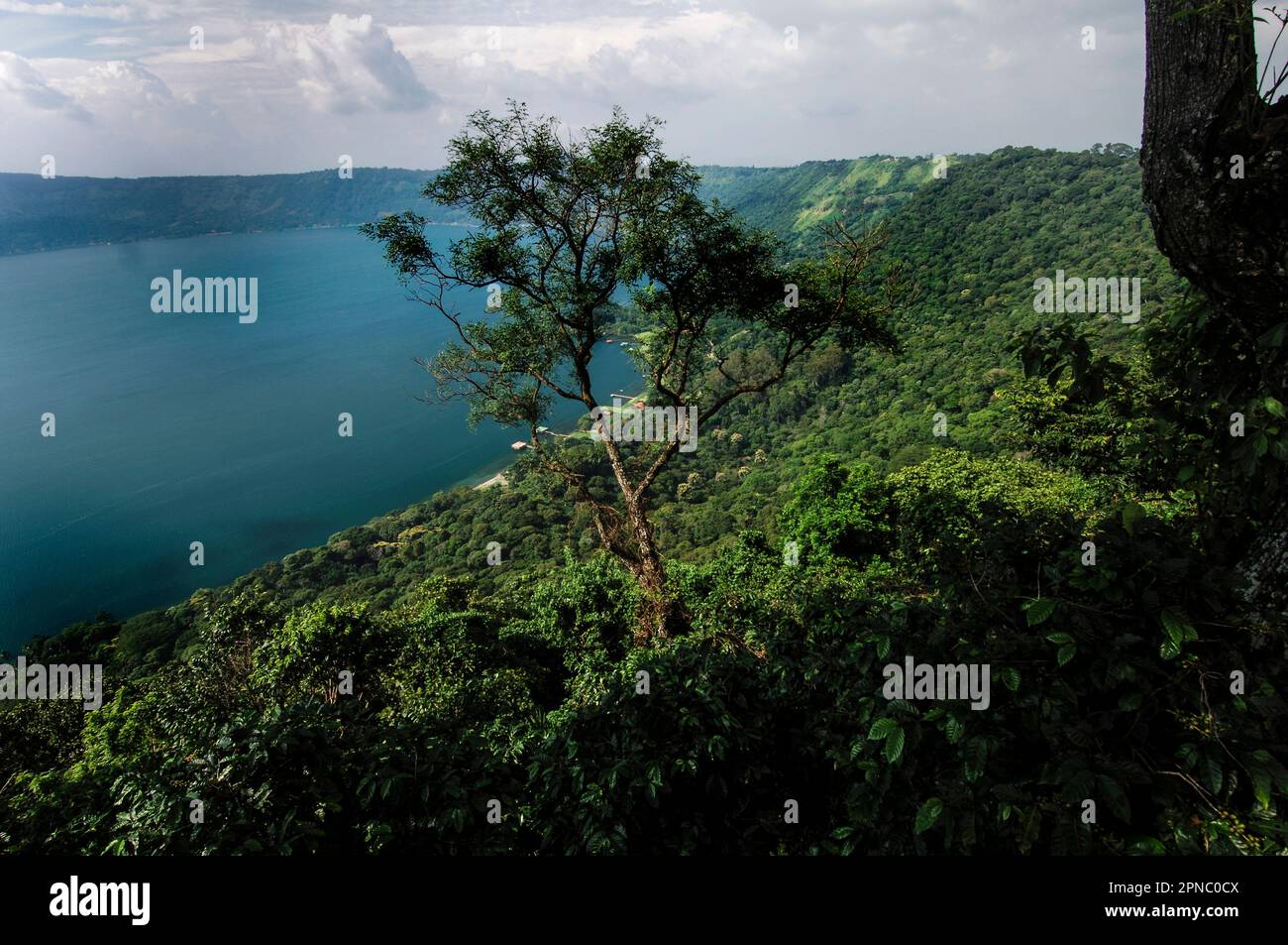Excursion to Cerro Verde and the volcanic lake Lago de Coatepeque. El ...