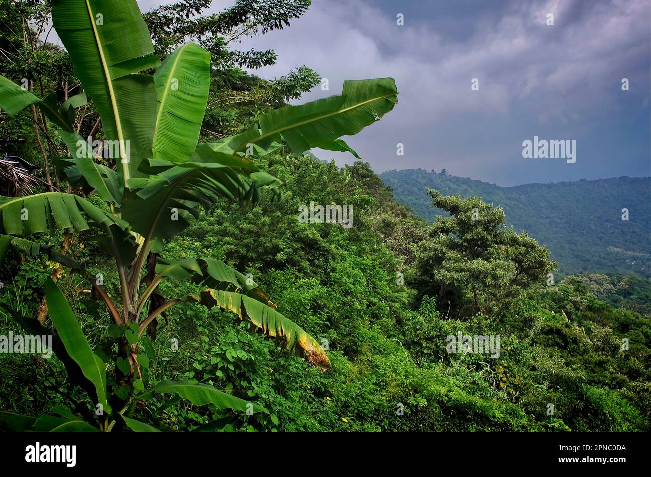 Excursion to Cerro Verde and the volcanic lake Lago de Coatepeque. El ...