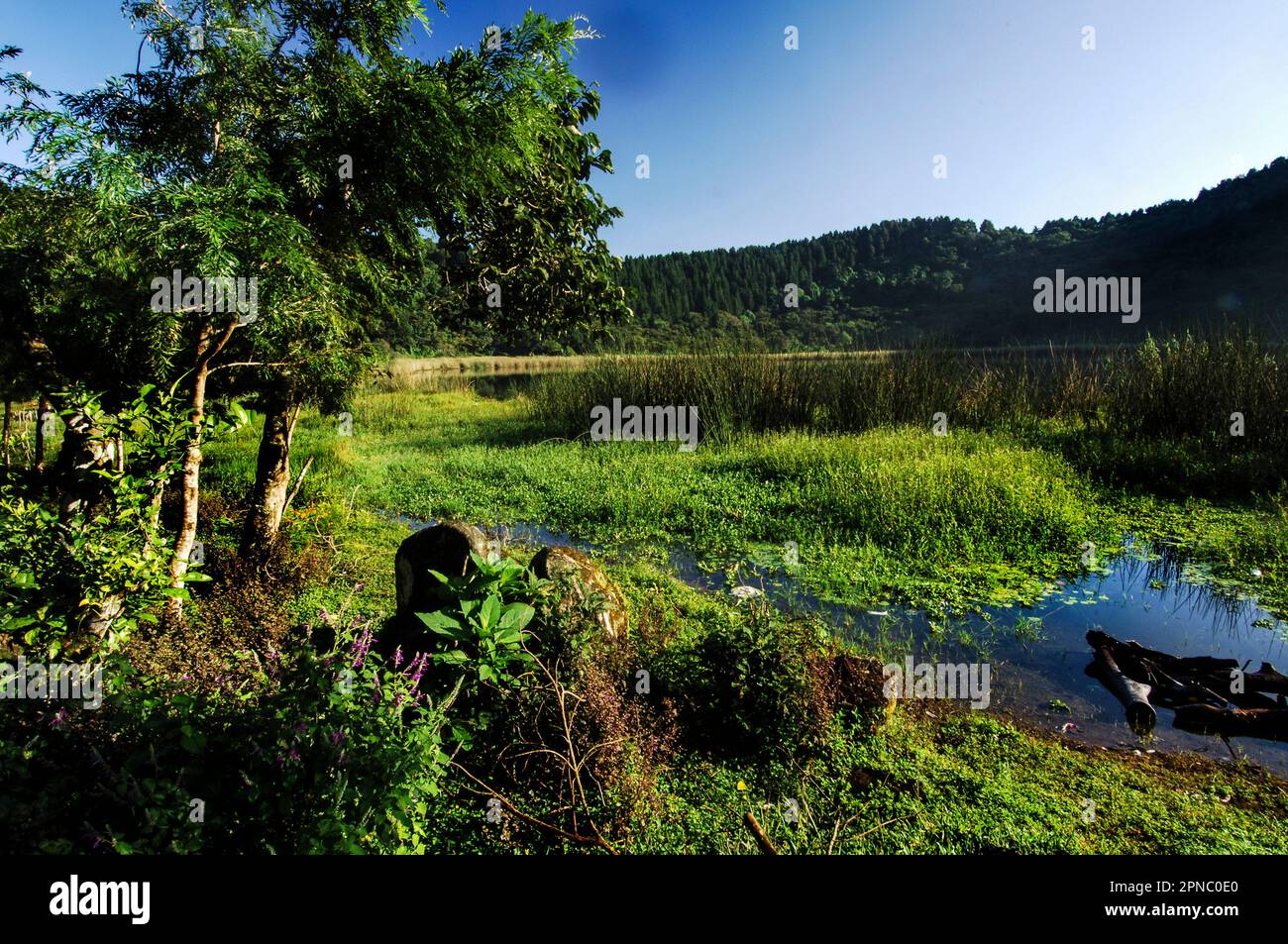 The Laguna Verde along the Apaneca cordillera. El Salvador, Central ...