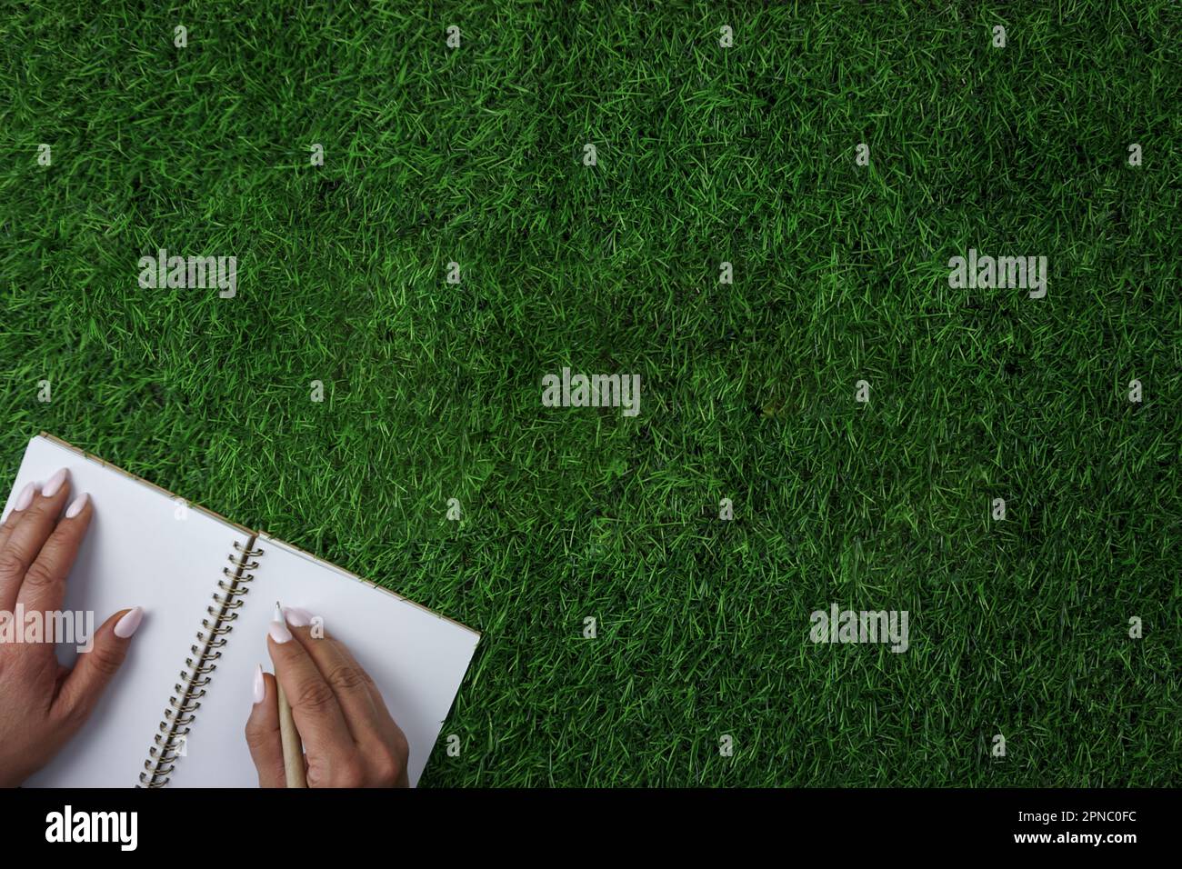 Lawn field greenery grass hi-res stock photography and images - Alamy