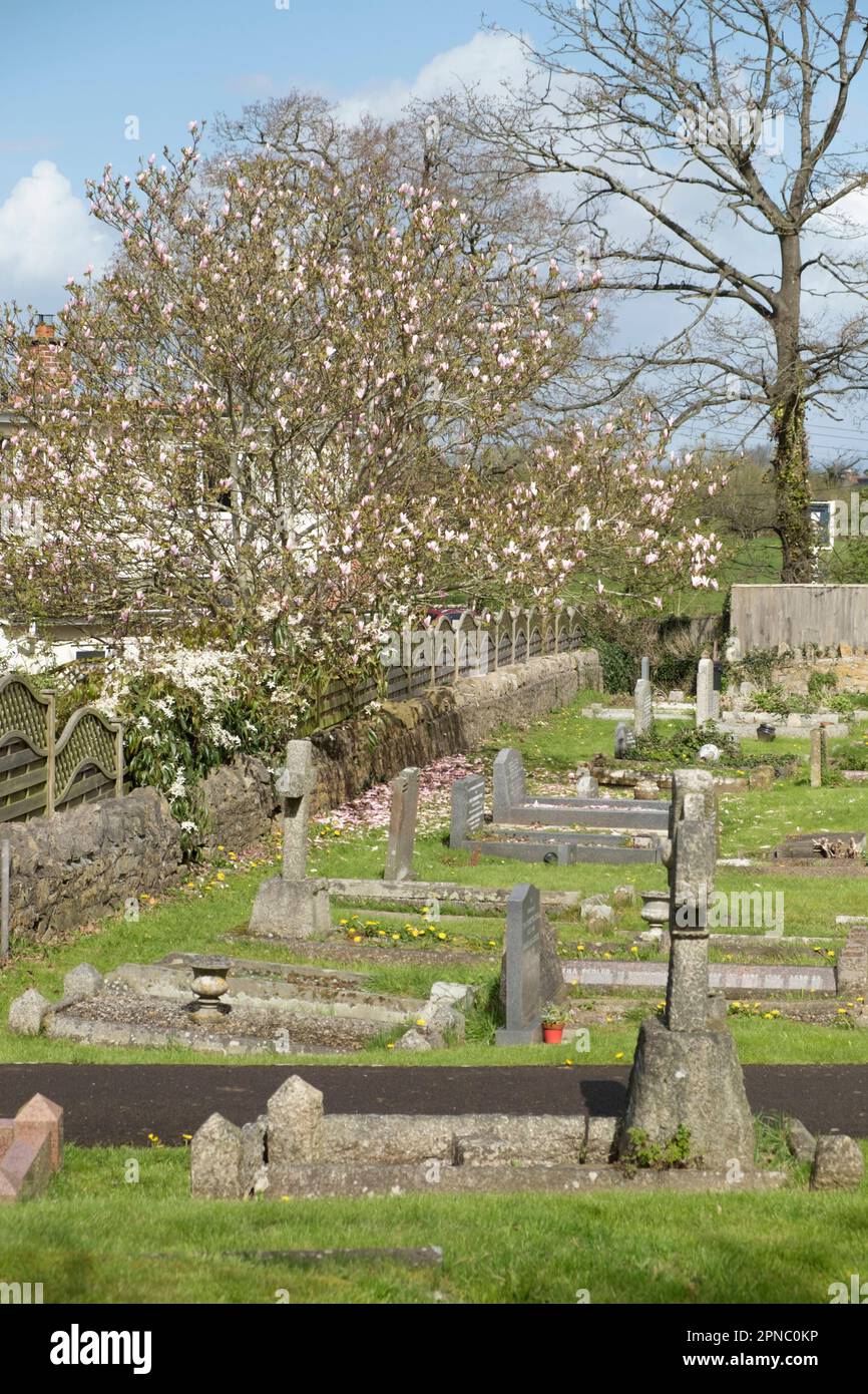 Banwell village hi-res stock photography and images - Alamy