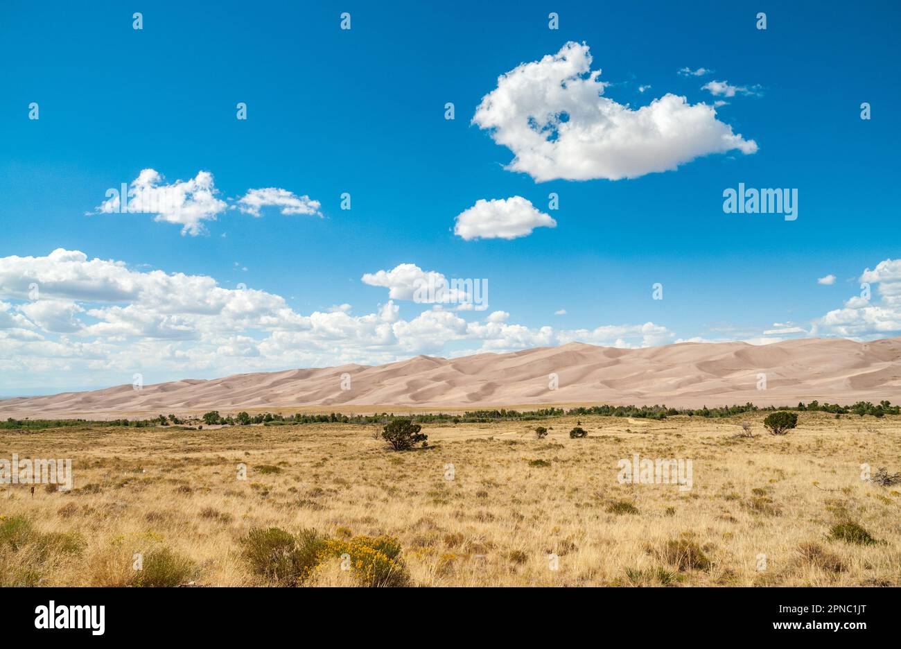 Great Sand Dunes National Park and Preserve in Colorado Stock Photo - Alamy