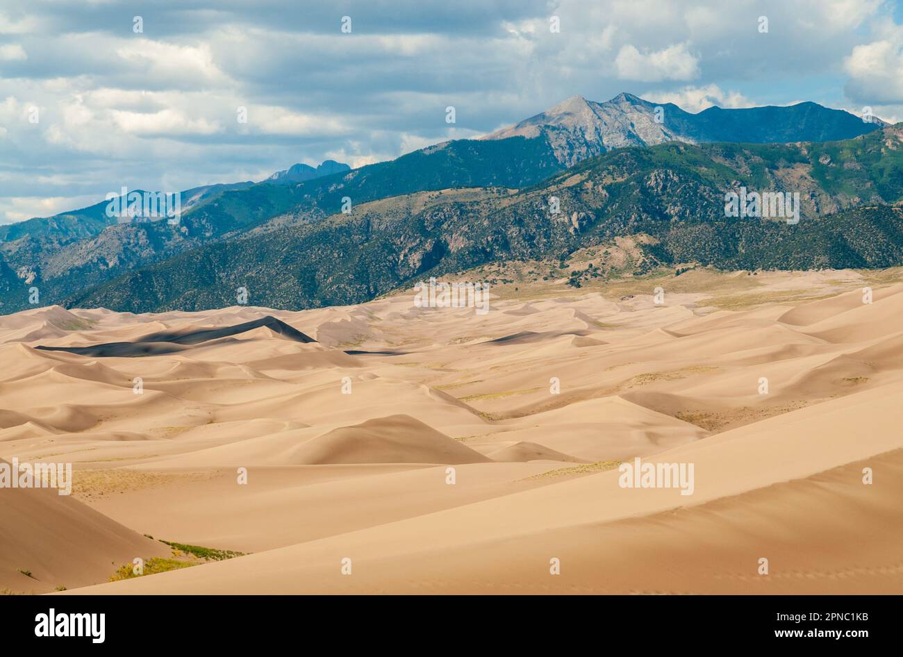 Great Sand Dunes National Park and Preserve in Colorado Stock Photo - Alamy
