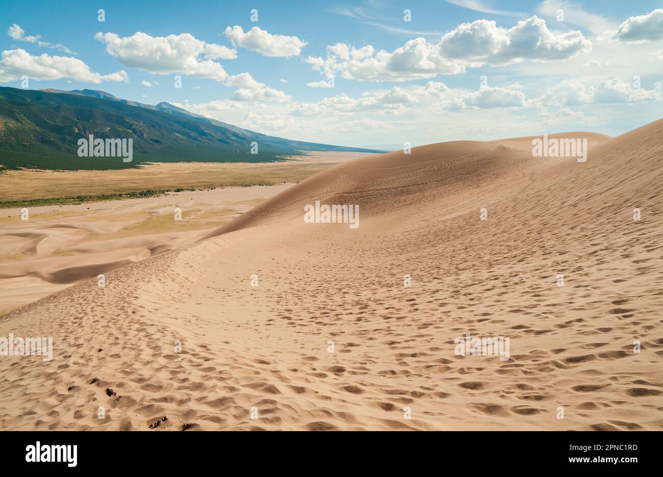 Great Sand Dunes National Park and Preserve in Colorado Stock Photo - Alamy