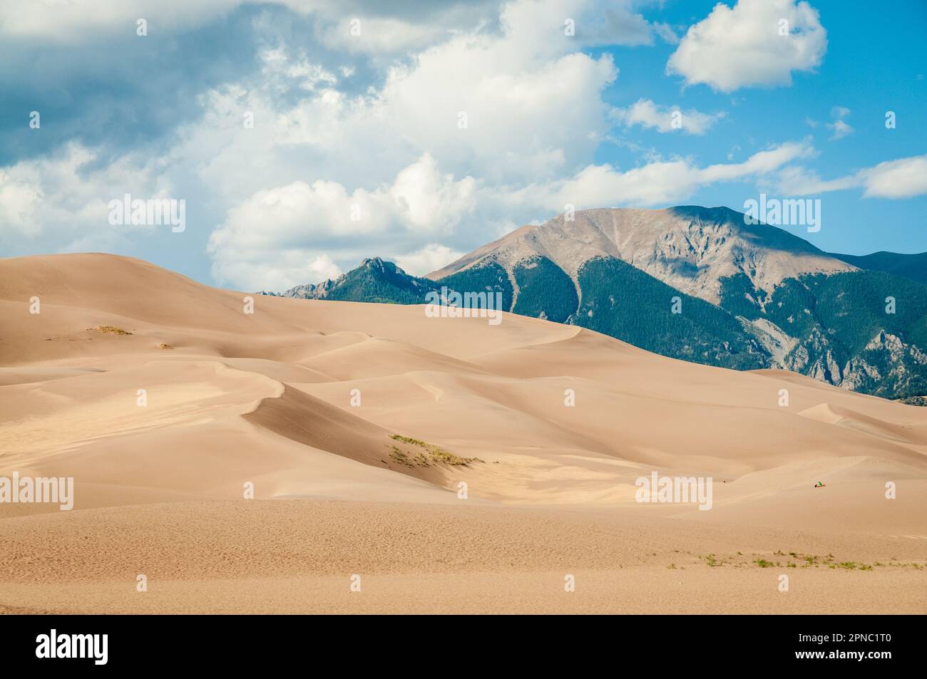 Great Sand Dunes National Park and Preserve in Colorado Stock Photo - Alamy