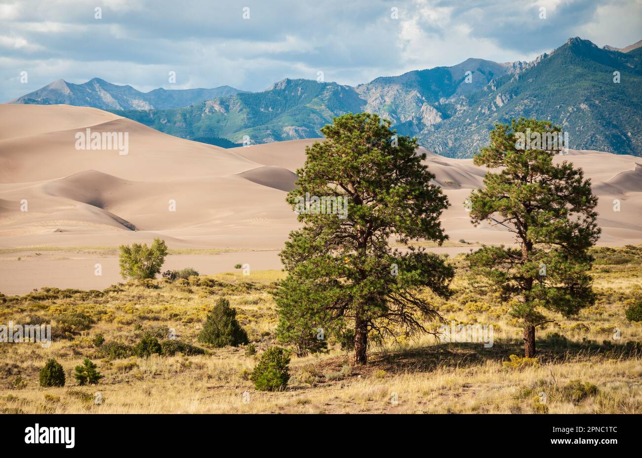 Great Sand Dunes National Park and Preserve in Colorado Stock Photo - Alamy