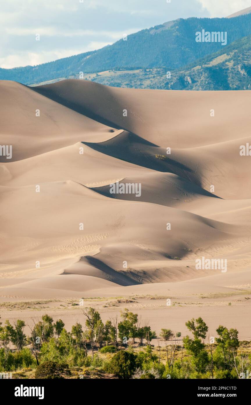 Great Sand Dunes National Park and Preserve in Colorado Stock Photo - Alamy