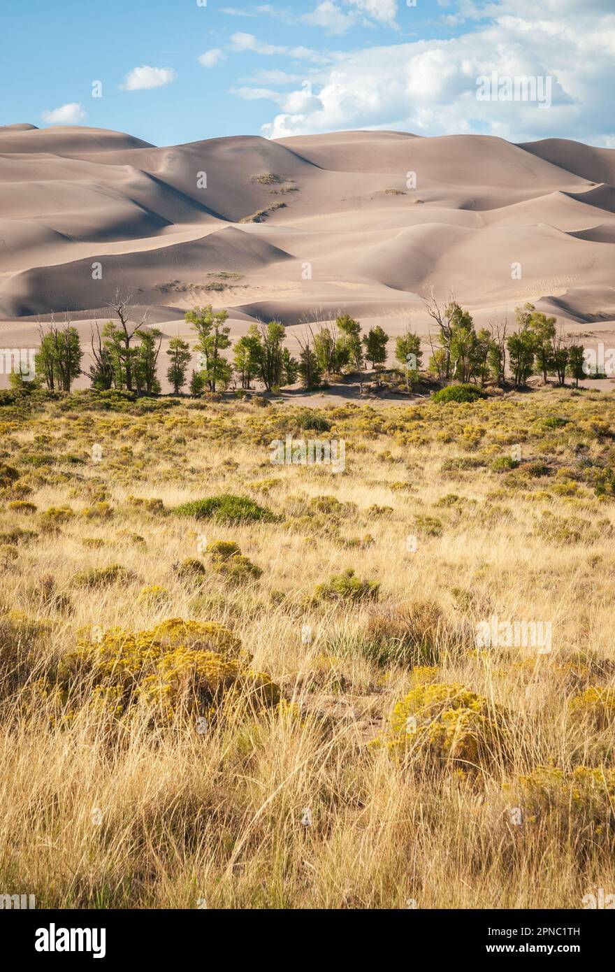 Great Sand Dunes National Park and Preserve in Colorado Stock Photo - Alamy