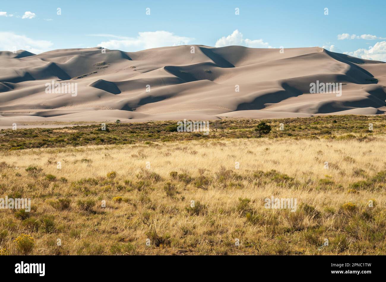 Great Sand Dunes National Park and Preserve in Colorado Stock Photo - Alamy