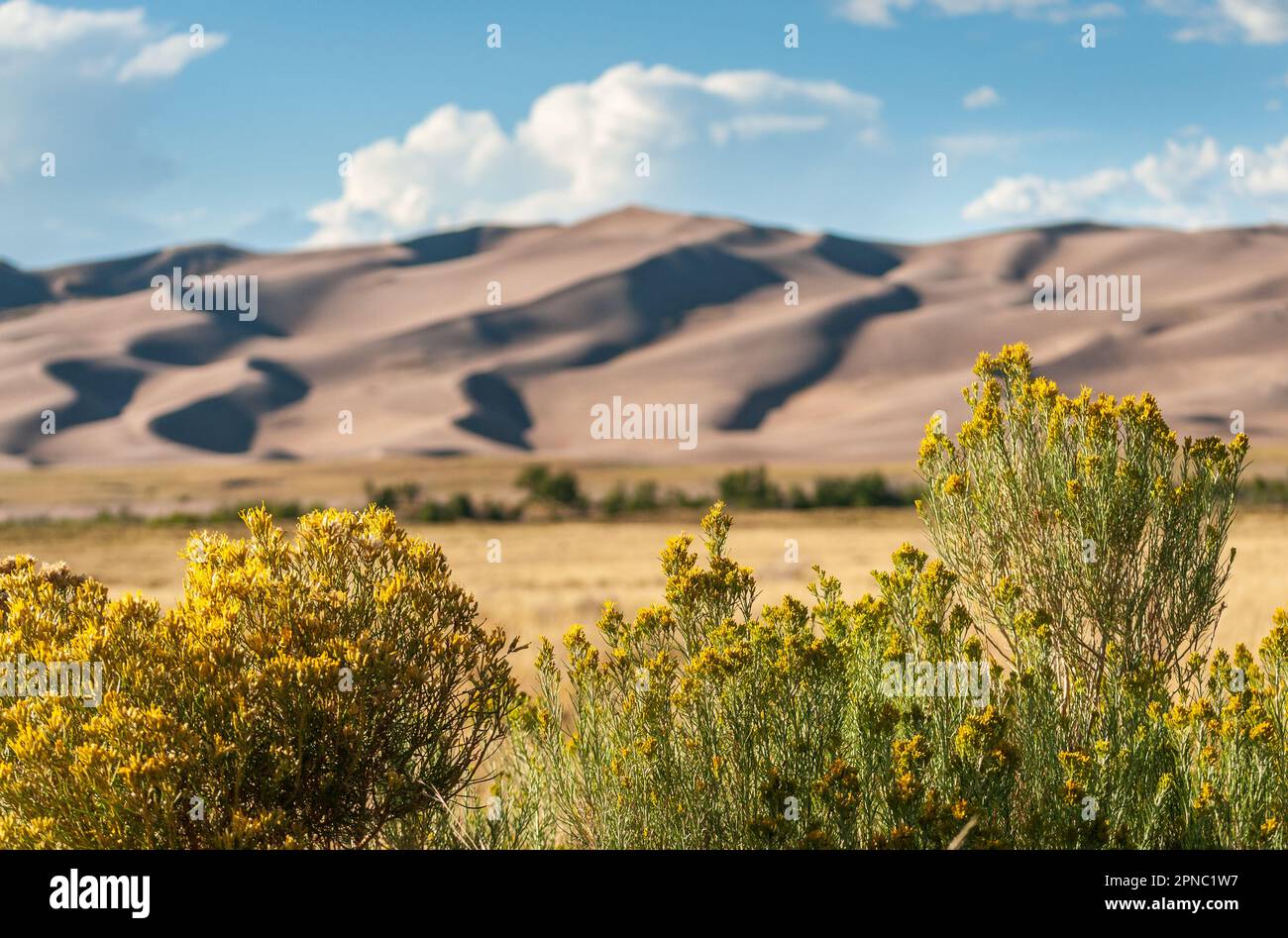 Great Sand Dunes National Park and Preserve in Colorado Stock Photo - Alamy