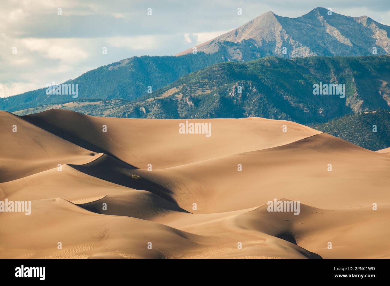 Great Sand Dunes National Park and Preserve in Colorado Stock Photo - Alamy