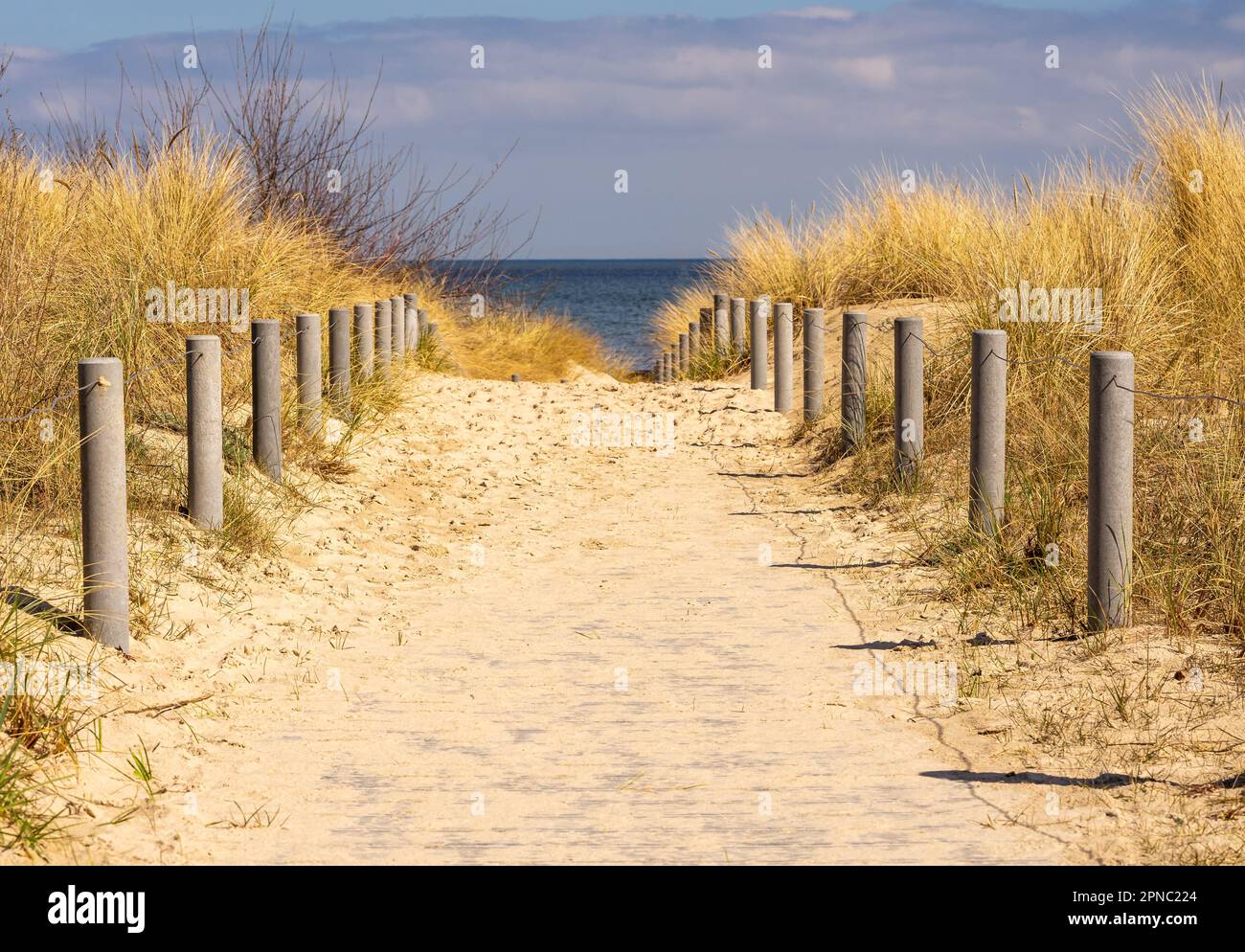 beach path on the beach baltic sea 01 Stock Photo - Alamy