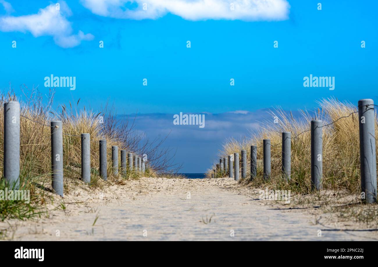 Baltic sea beach path hi-res stock photography and images - Alamy