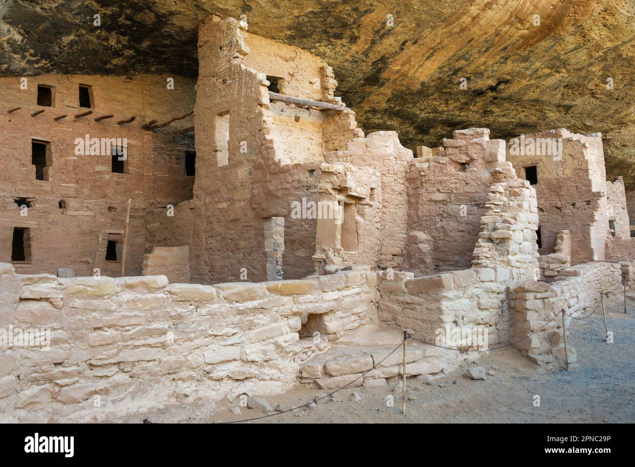 Colorado biodiversity hi-res stock photography and images - Alamy