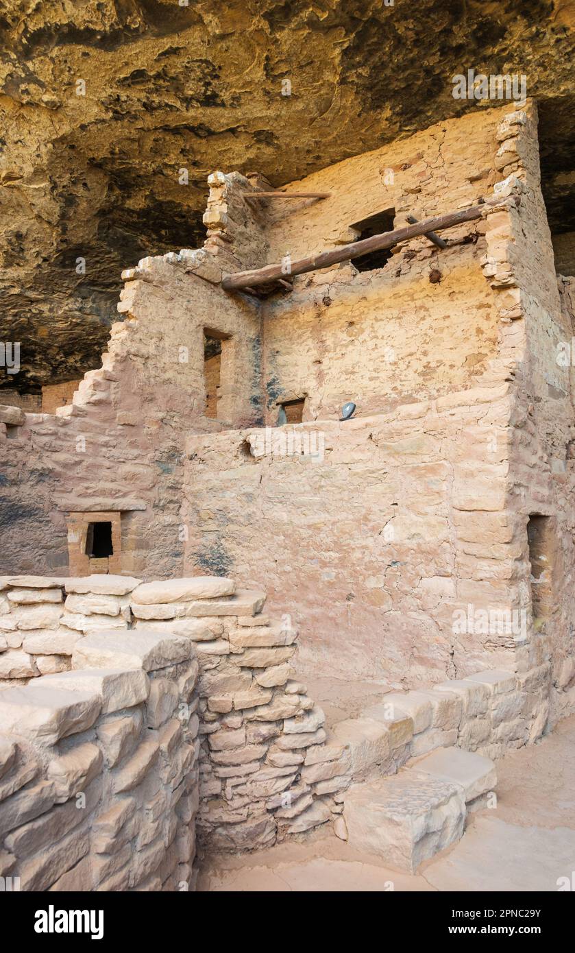 Colorado biodiversity hi-res stock photography and images - Alamy