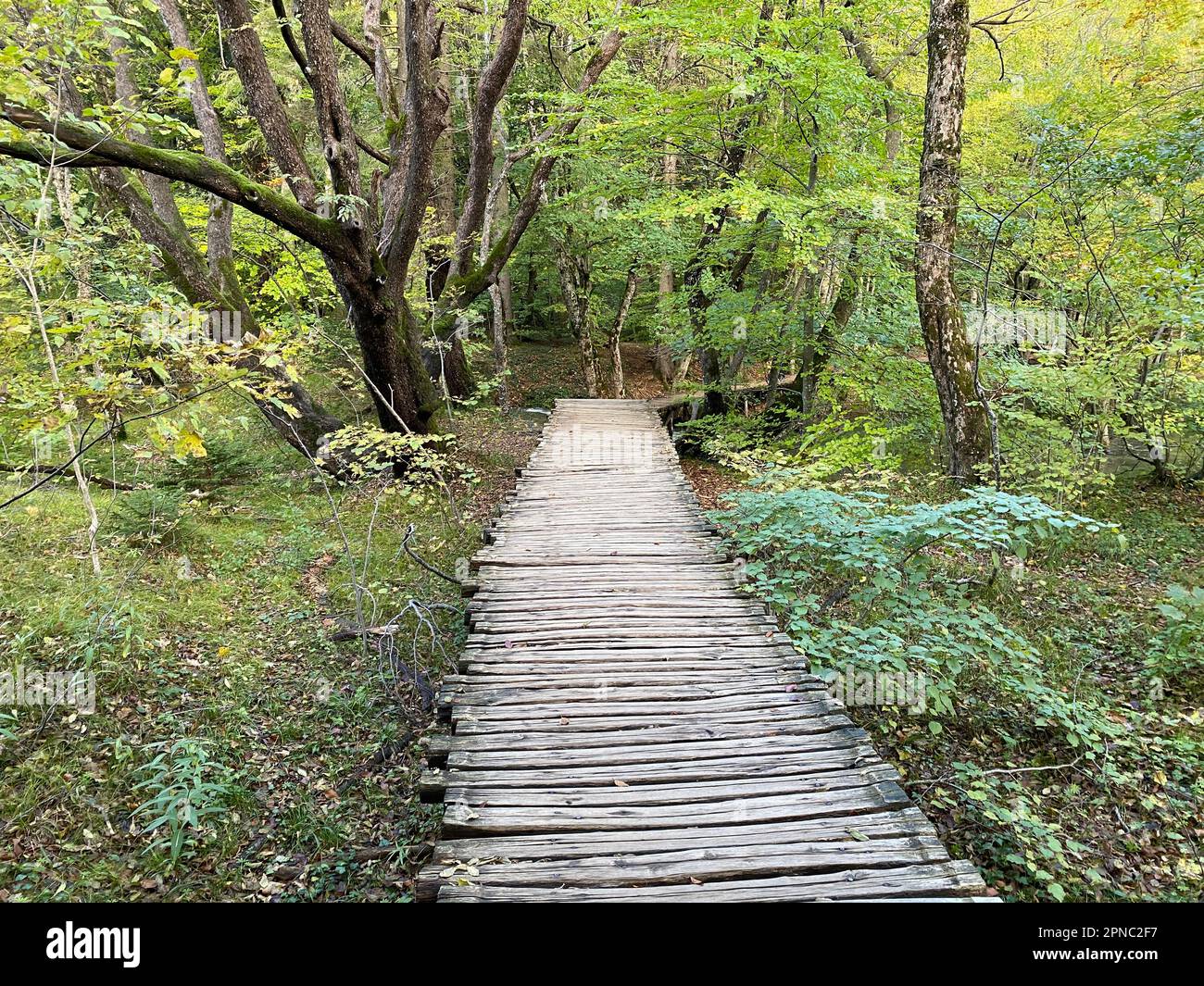 Slike hi-res stock photography and images - Alamy