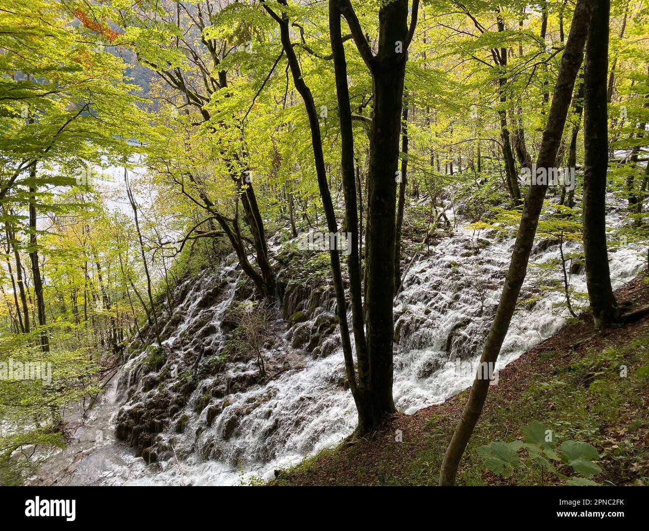 Slike hi-res stock photography and images - Alamy