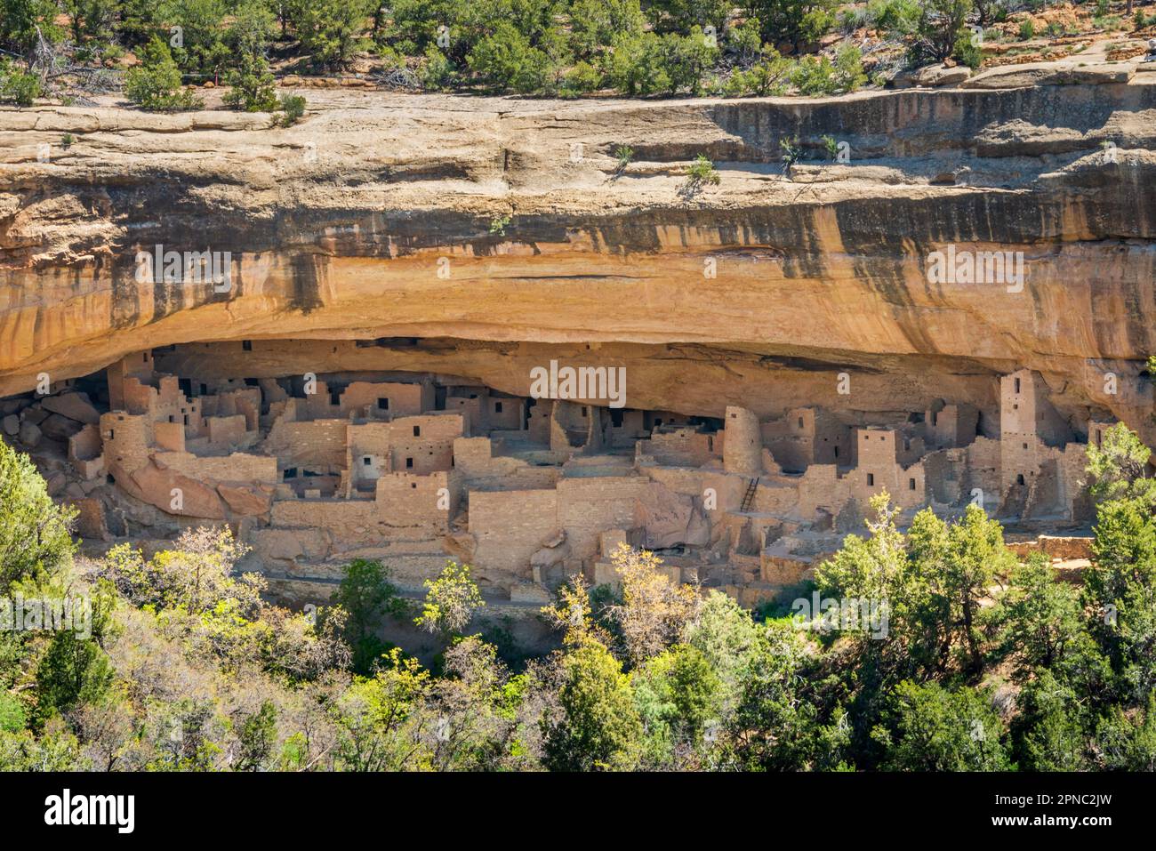 Colorado biodiversity hi-res stock photography and images - Alamy