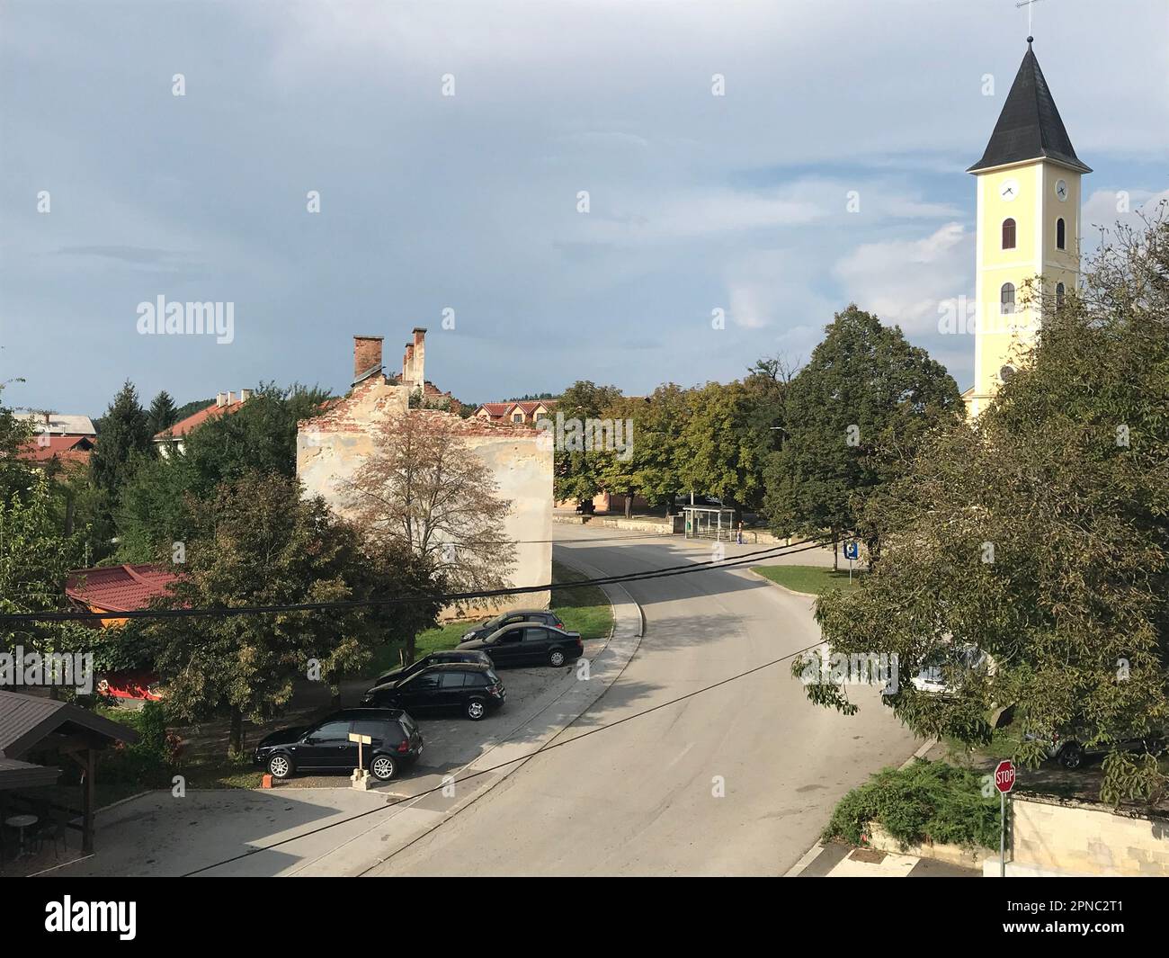 Cisti cisti cisti cisti hi-res stock photography and images - Alamy