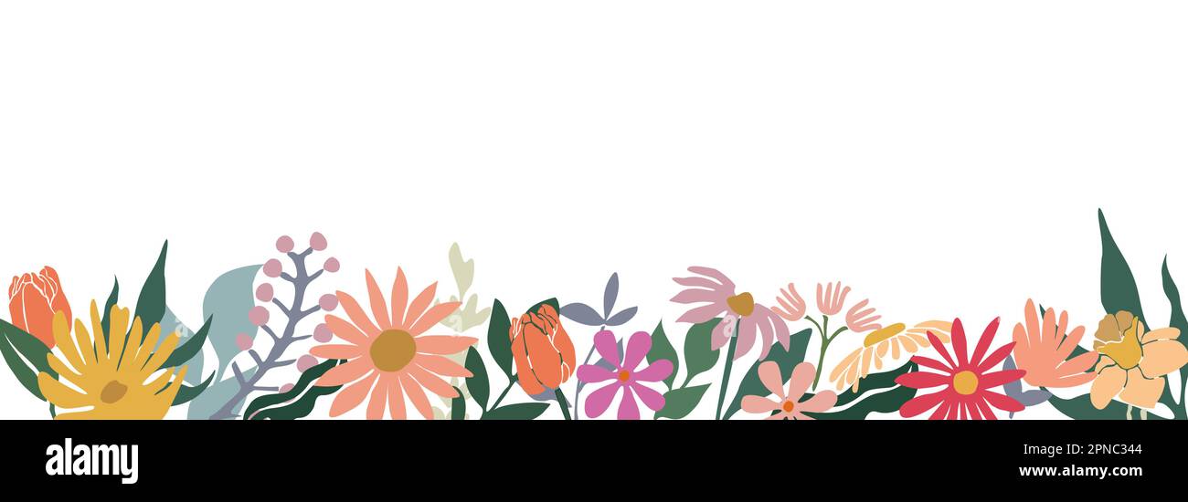 Floral banner, border, backdrop vector on white Stock Vector Image ...