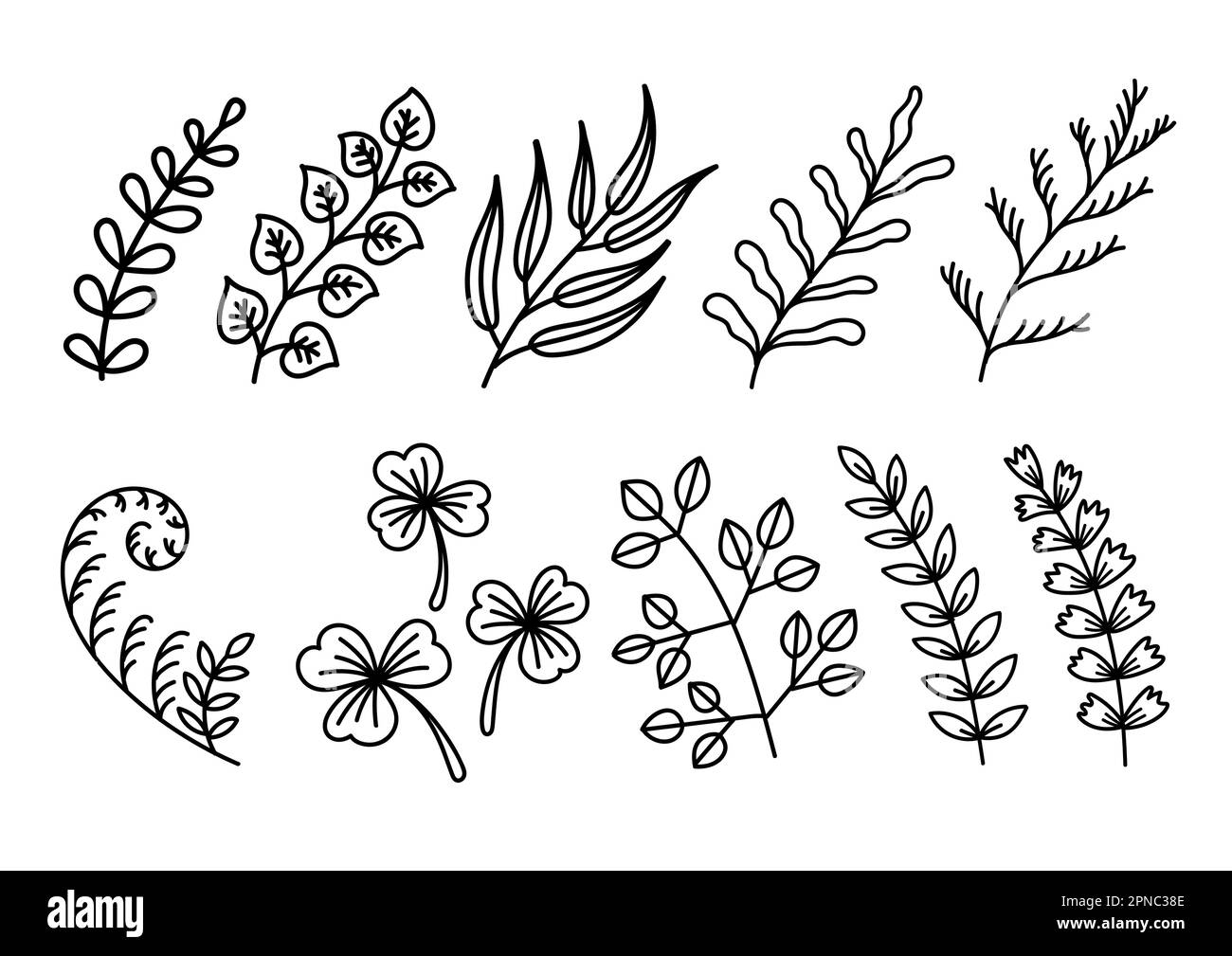 Freehand Handdrawn Botanical Leaves Doodle Set Pack. Premium Vector ...