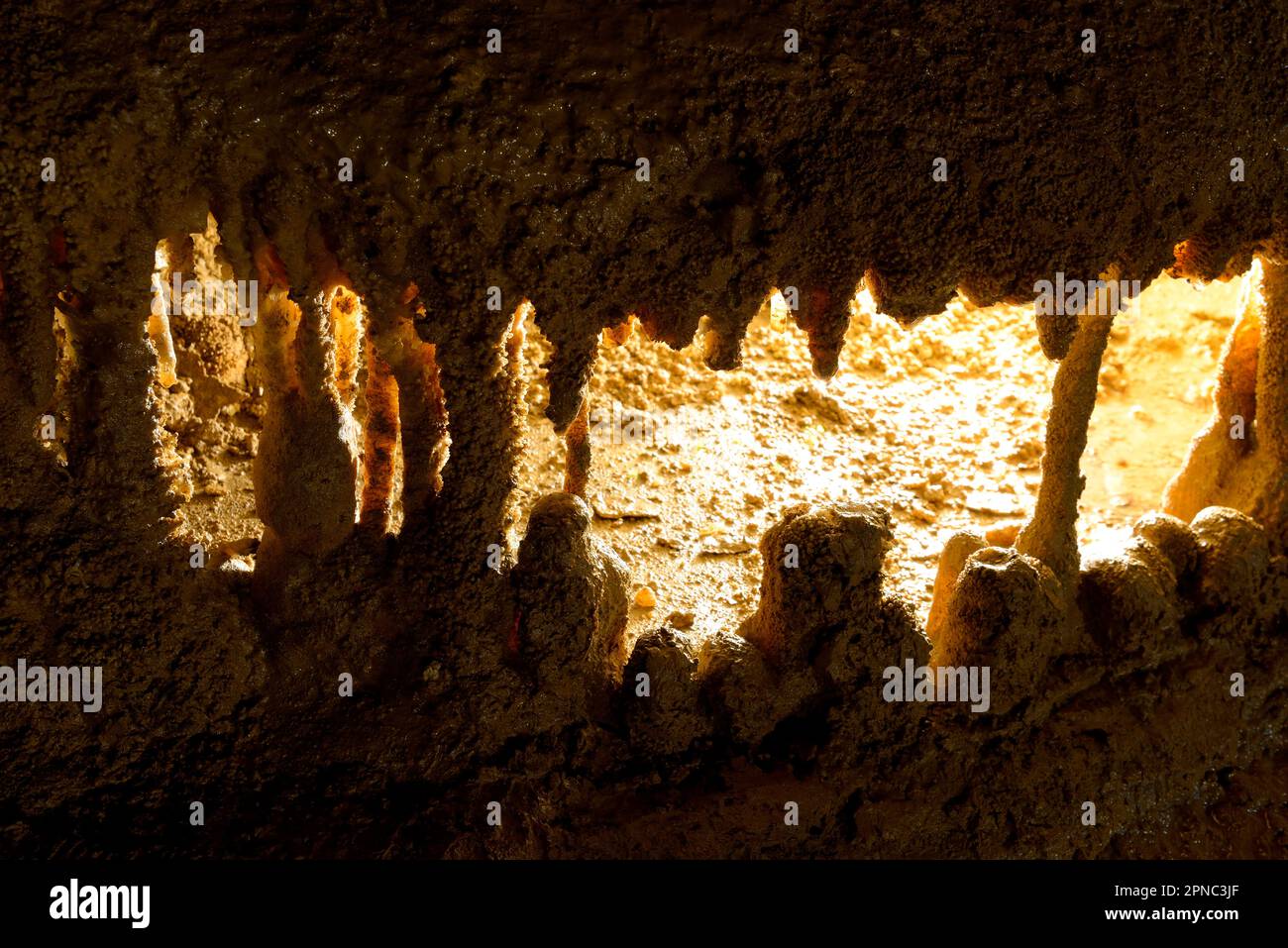 The Caudano caves were discovered in December 1898 and received ...