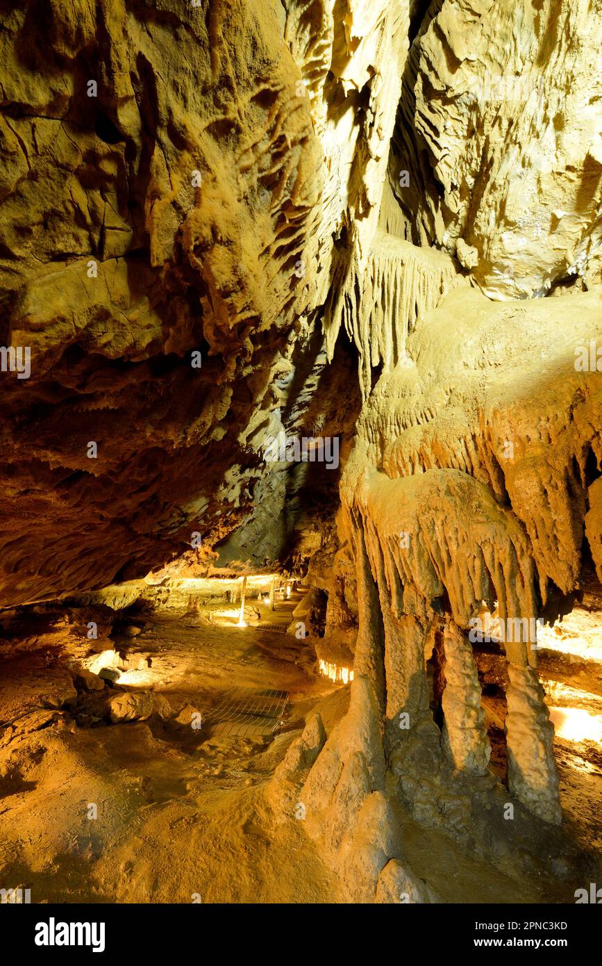 The Caudano caves were discovered in December 1898 and received ...