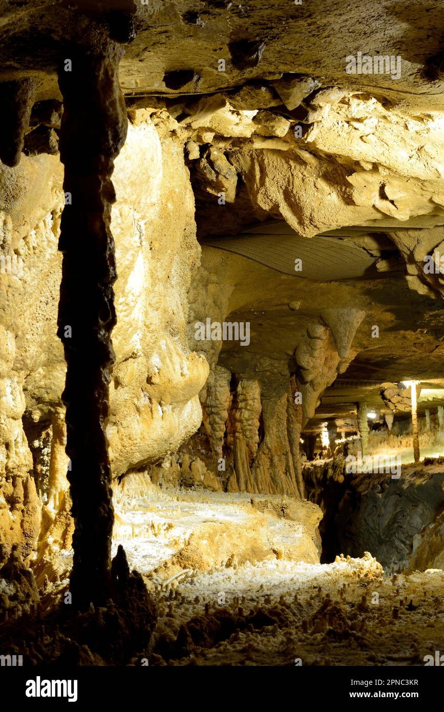 The Caudano caves were discovered in December 1898 and received ...