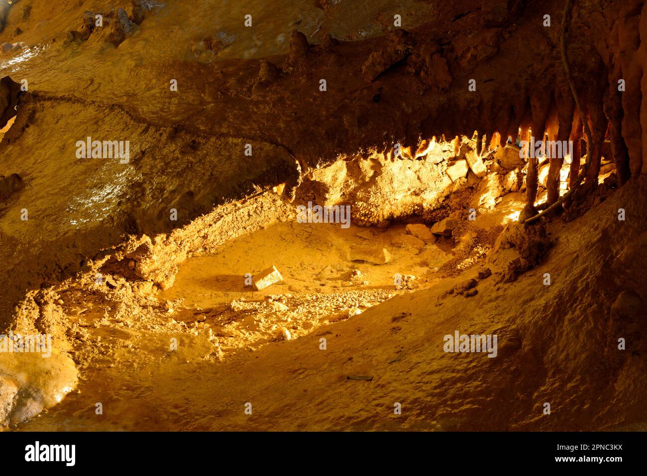The Caudano caves were discovered in December 1898 and received ...