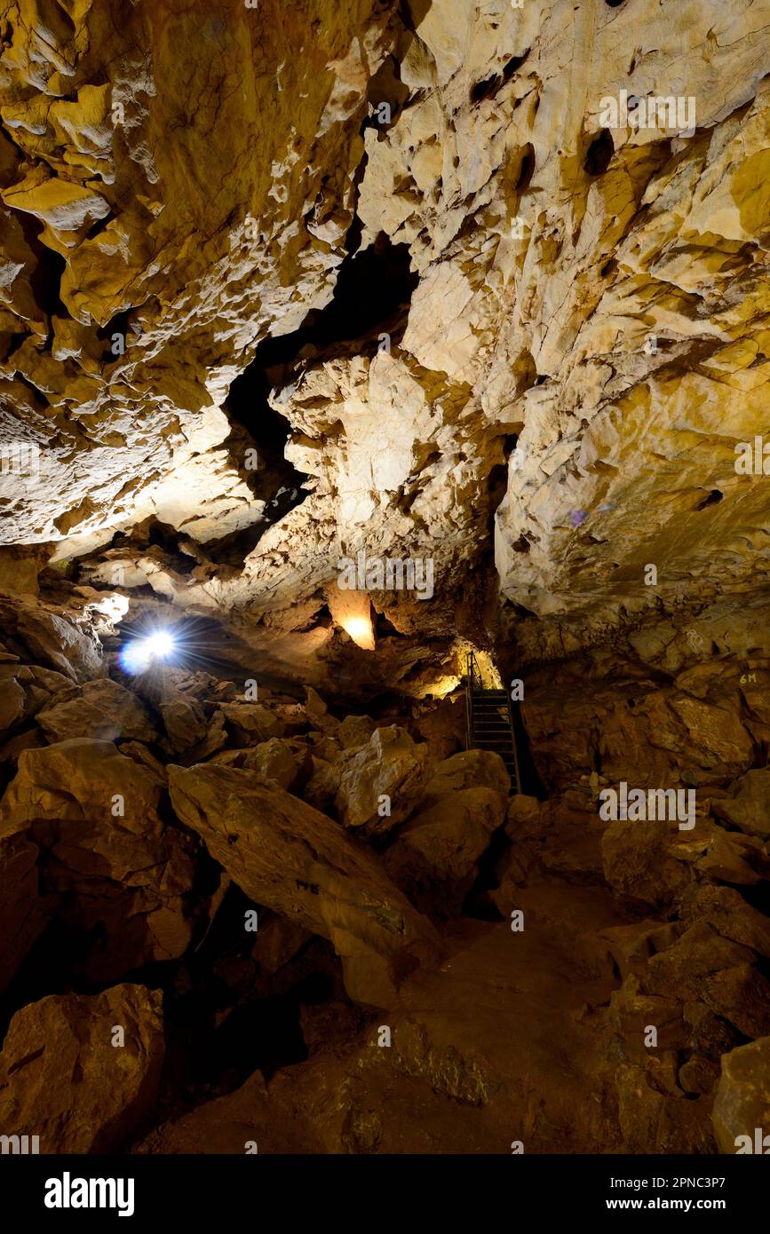 The Caudano caves were discovered in December 1898 and received ...