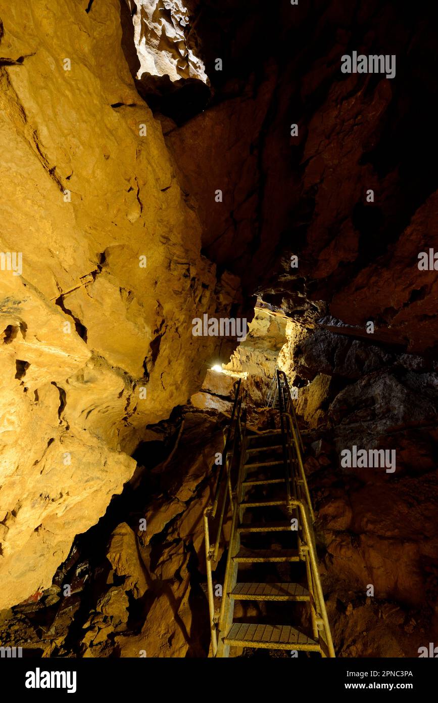 The Caudano caves were discovered in December 1898 and received ...