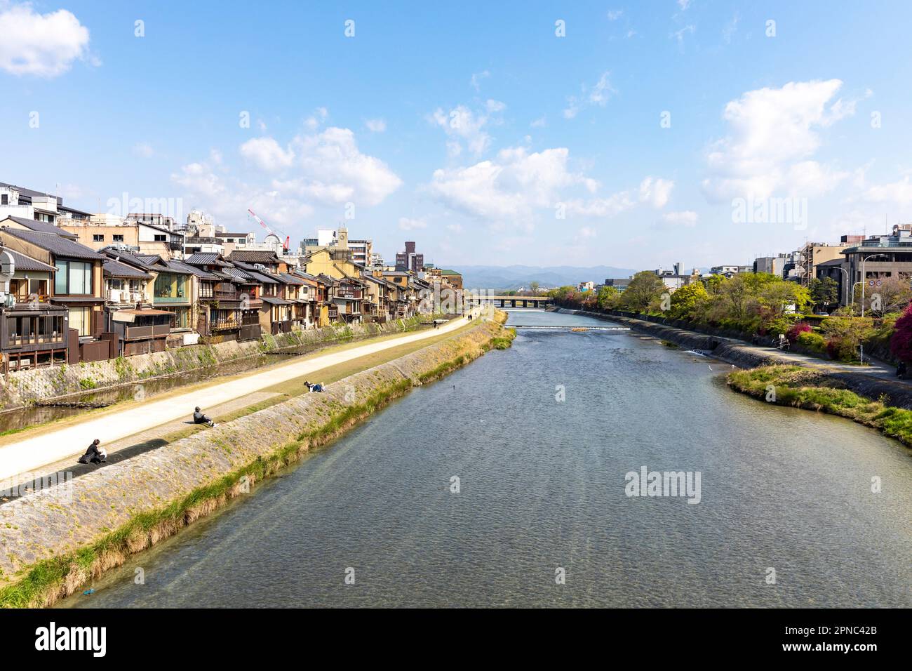 Kyoto Japan April 2023, spring weather River Kamogawa (Kawo) flowing ...