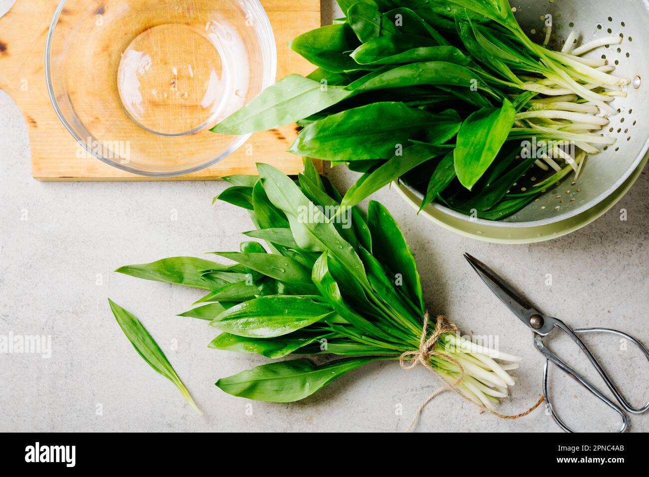 Fresh wild garlic, ramson leaves. Spring seasonal food Stock Photo - Alamy