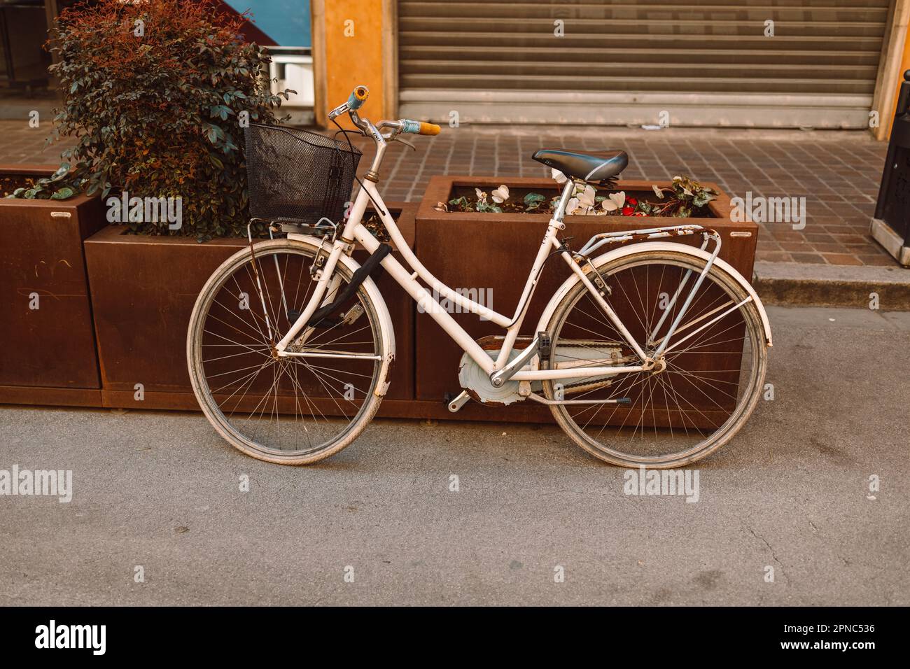 Vintage bicycle in front of the old rustic house, covered with flowers ...