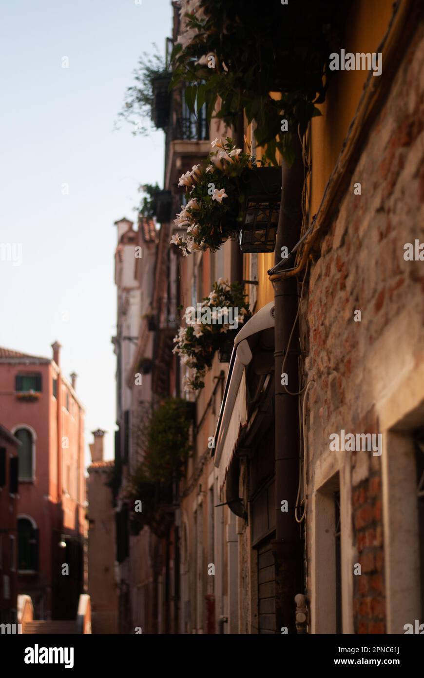 Italian old buildings flowers hi-res stock photography and images - Alamy