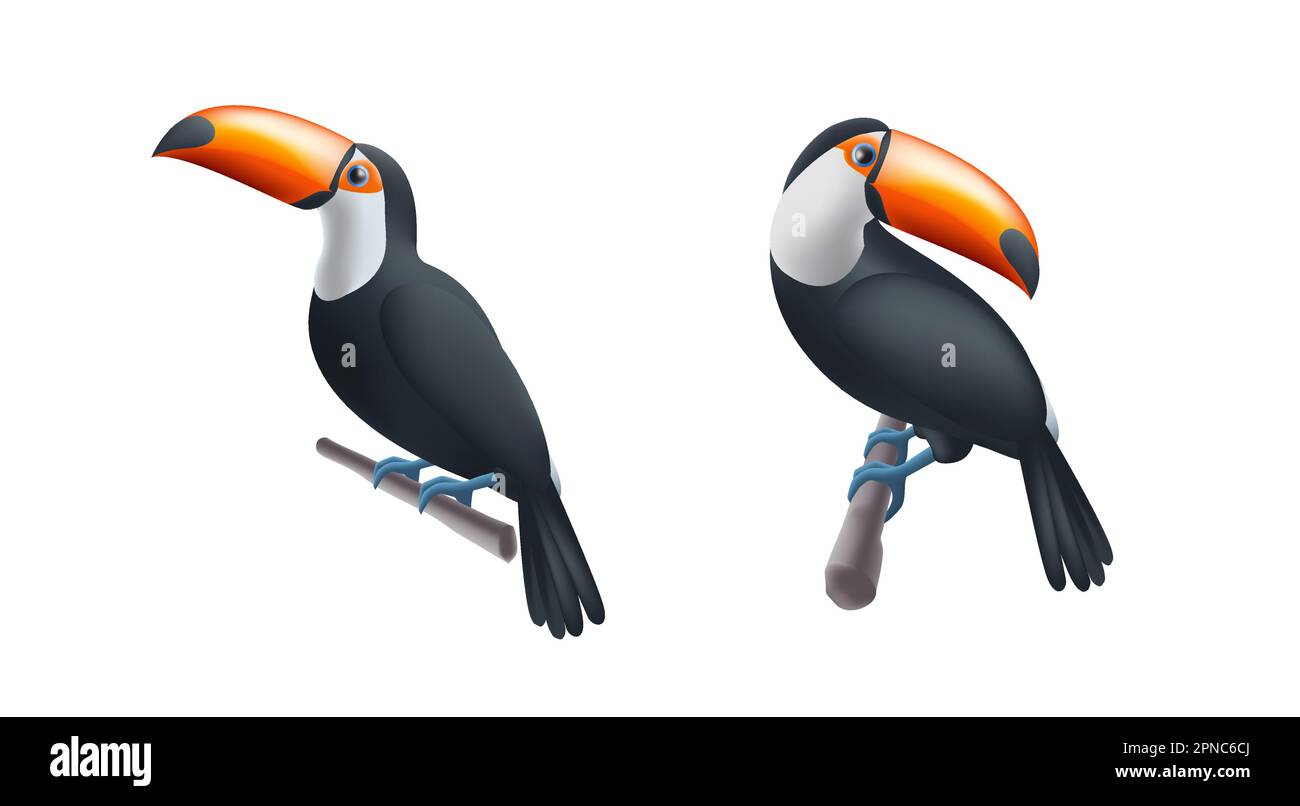 Toucan on a tree branch 3d render illustration isolated set, two birds ...