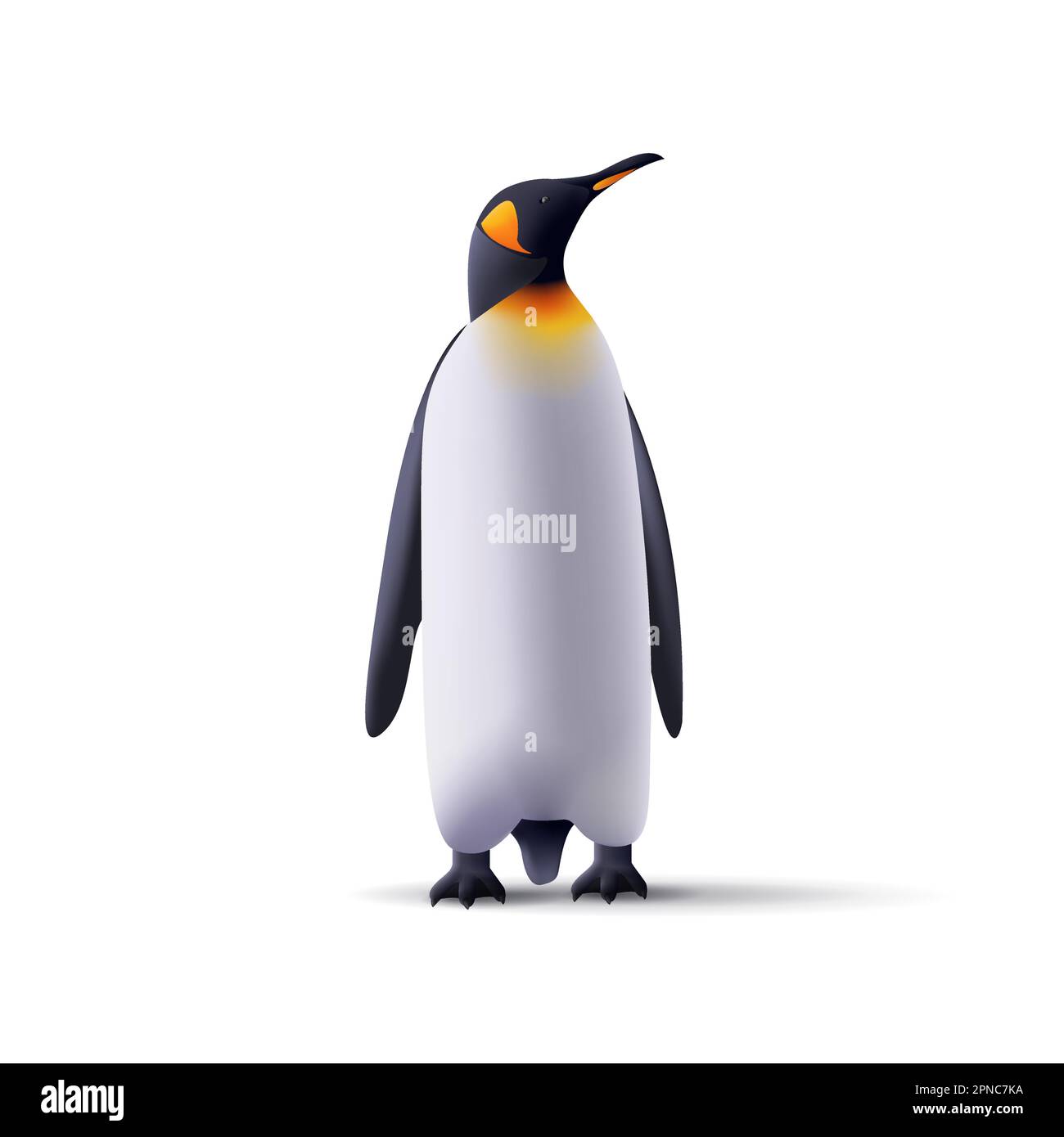 Pinguins realistic 3d illustration. Arctic fauna wild animals isolated ...