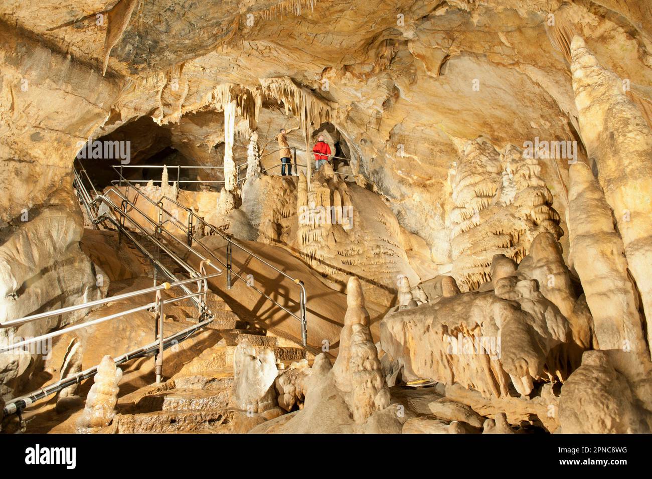 In the Toirano cave there are remains of Ursus spelaeus; the cave bear ...