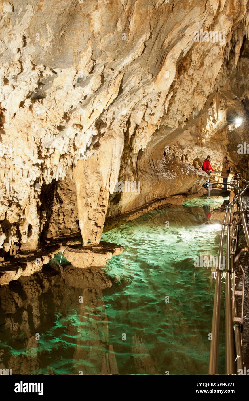 In the Toirano cave there are remains of Ursus spelaeus; the cave bear ...