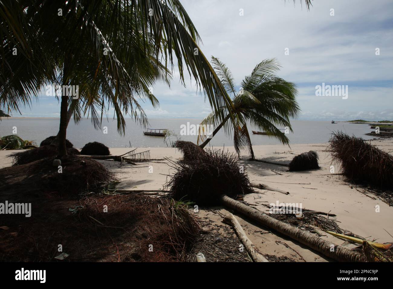 Marajo Island, Brazil. 17th Apr, 2023. A general view shows several ...