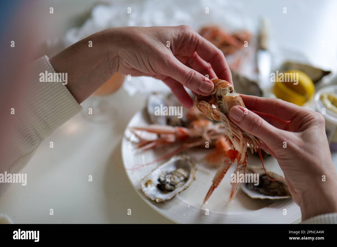 Woman cleaning prawns above table full of fresh seafood with oyster and ...